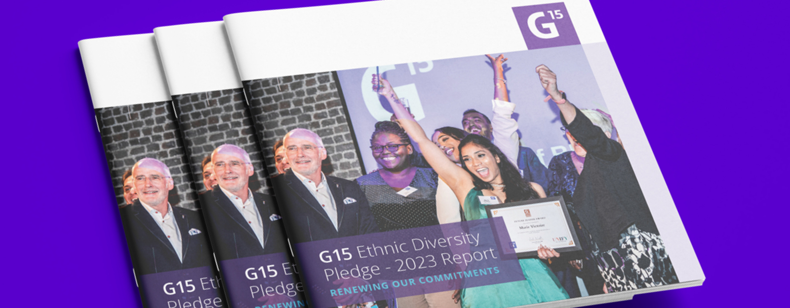G15 | Renewing our commitments – G15 Ethnic Diversity Pledge 2023 Report